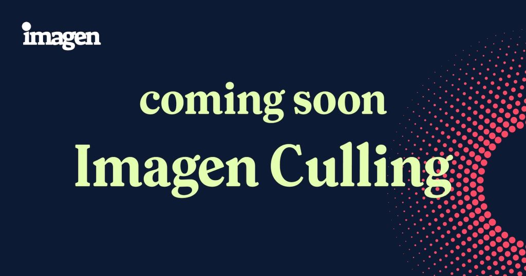 A Complete Guide to Culling Photographs